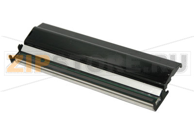 G79058M - Термоголовка ZEBRA Z6Mplus 203 dpi