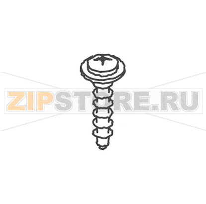 129914102 - Screw TSP TORX 10 3,5x12 plast. zn-b Saeco Talea Giro